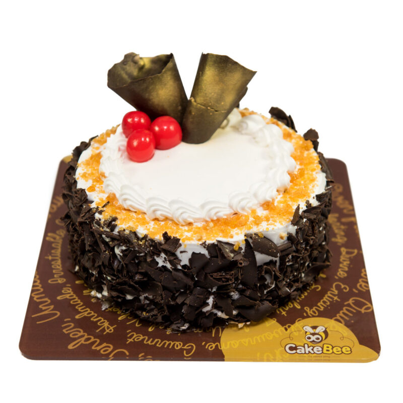 scotch forest cake – Order Food n cake Online Trichy and home delivery